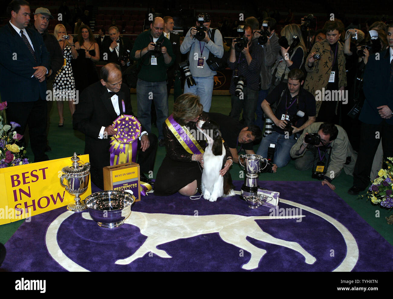 The English Springer Spaniel and handler Kelly Fitzgerald sit in the ...