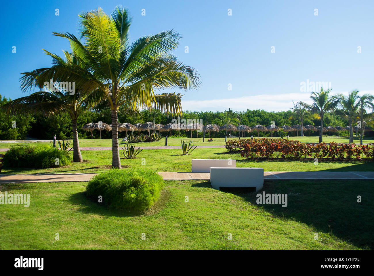 Huge walking area and gardens of luxury holiday resort with palm trees ...