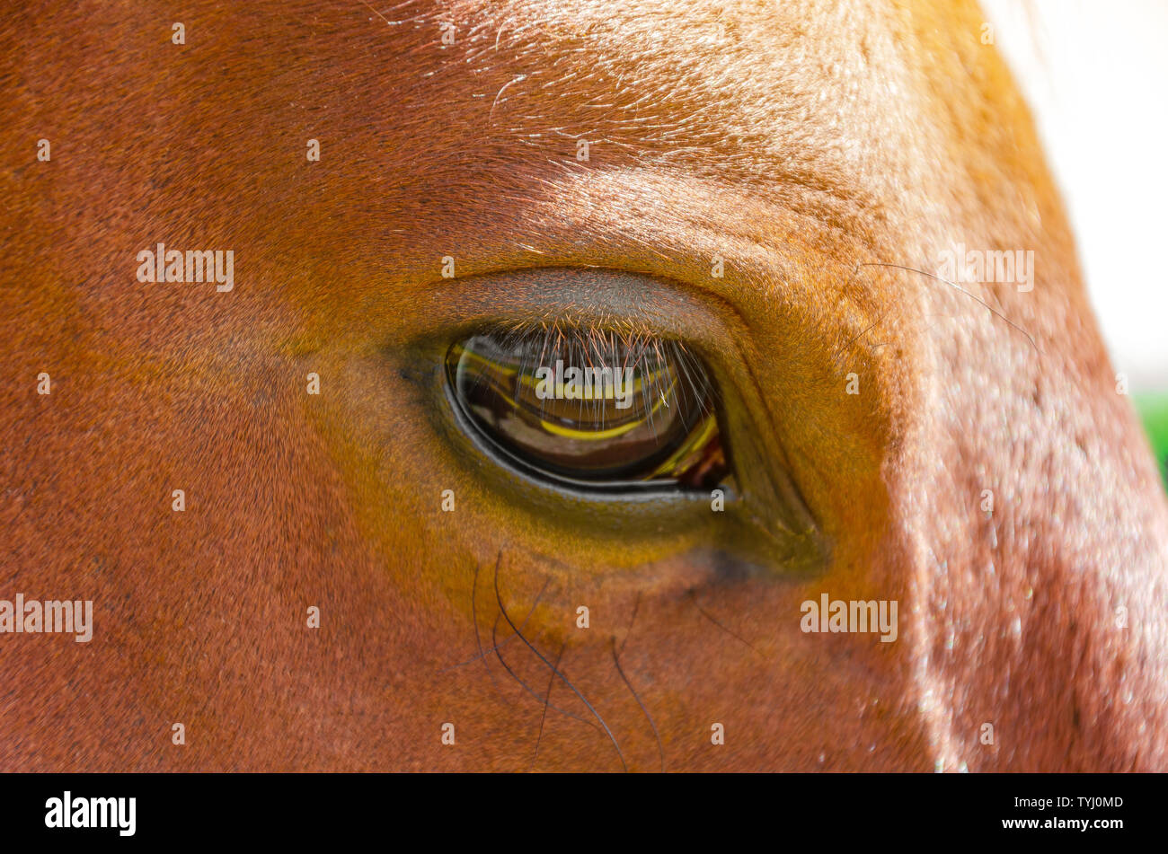 Rural vision vision color hi-res stock photography and images - Alamy