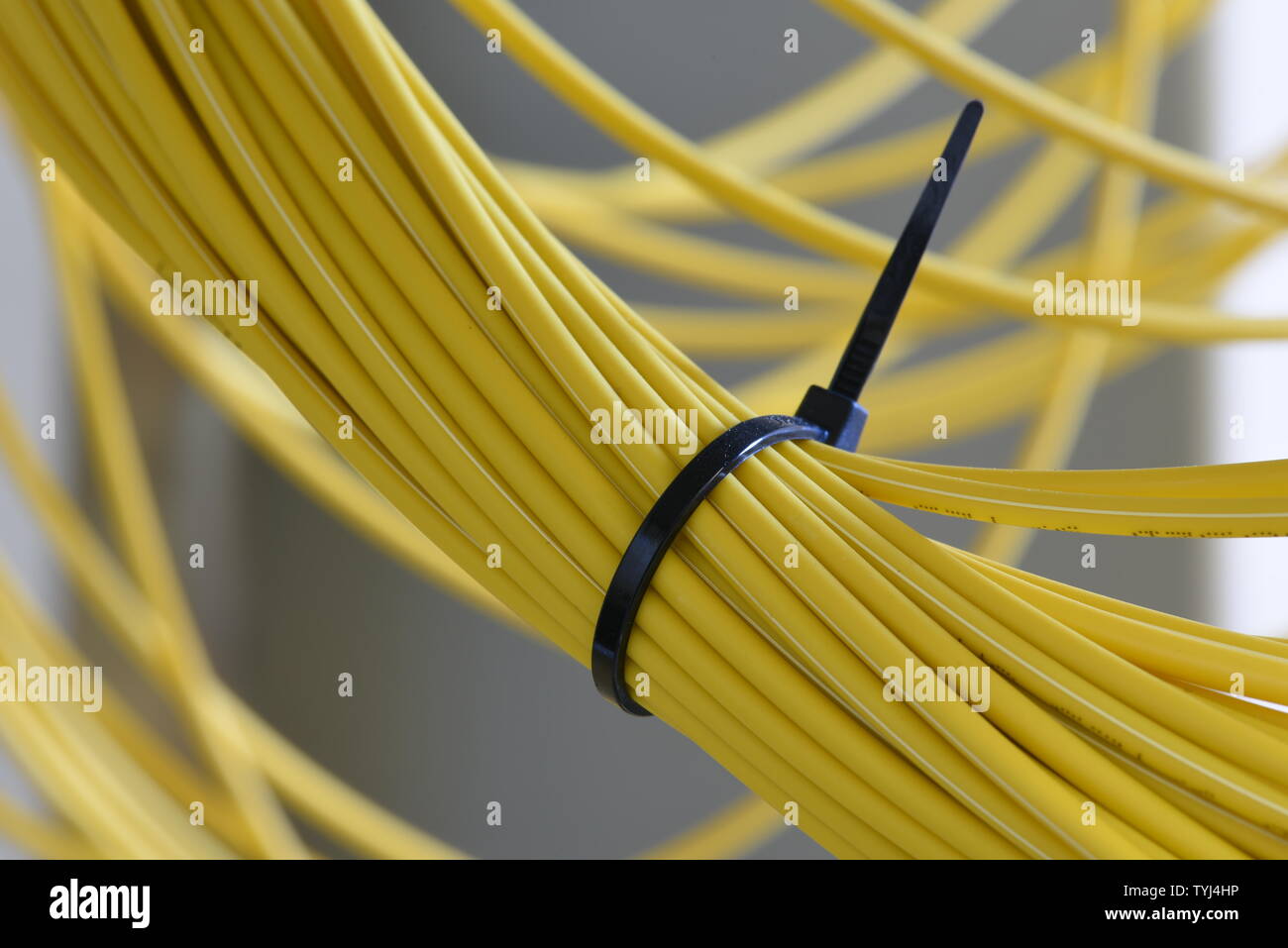 Patch cords in fiber optical network Stock Photo - Alamy