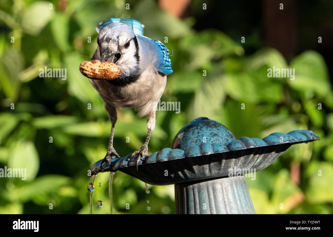 Edge over edge hi-res stock photography and images - Alamy