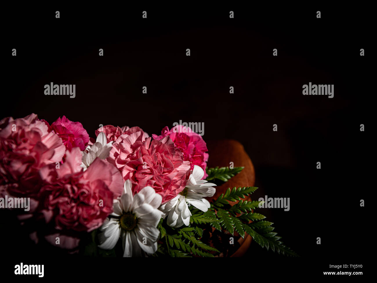 negative space flowers Stock Photo - Alamy