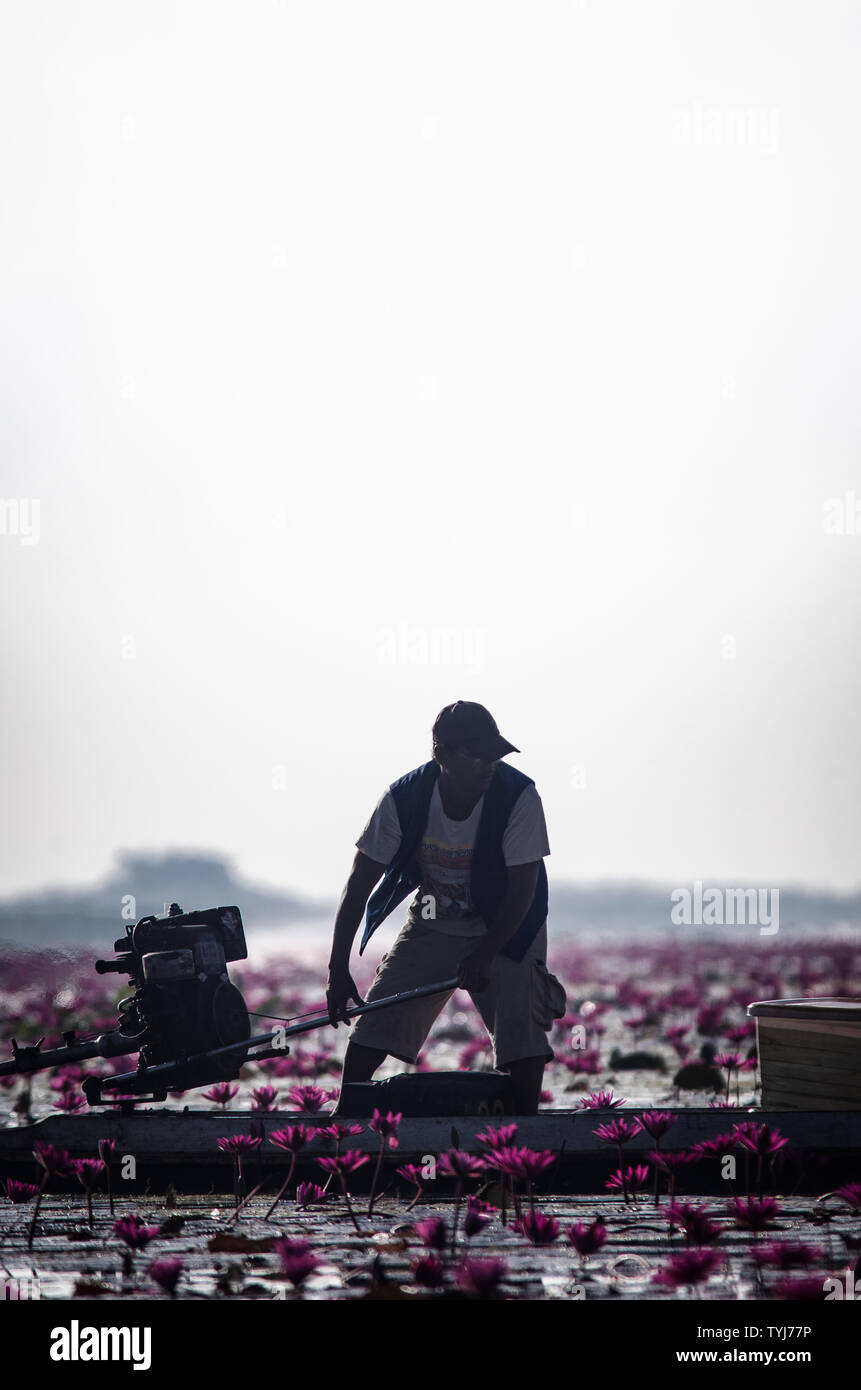 Early work hi-res stock photography and images - Alamy