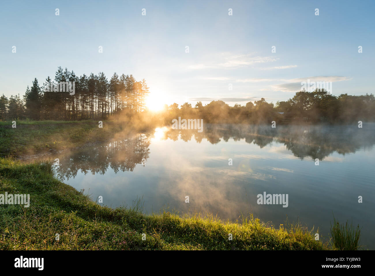Morning fog on the forest lake, sunrise shot Stock Photo - Alamy