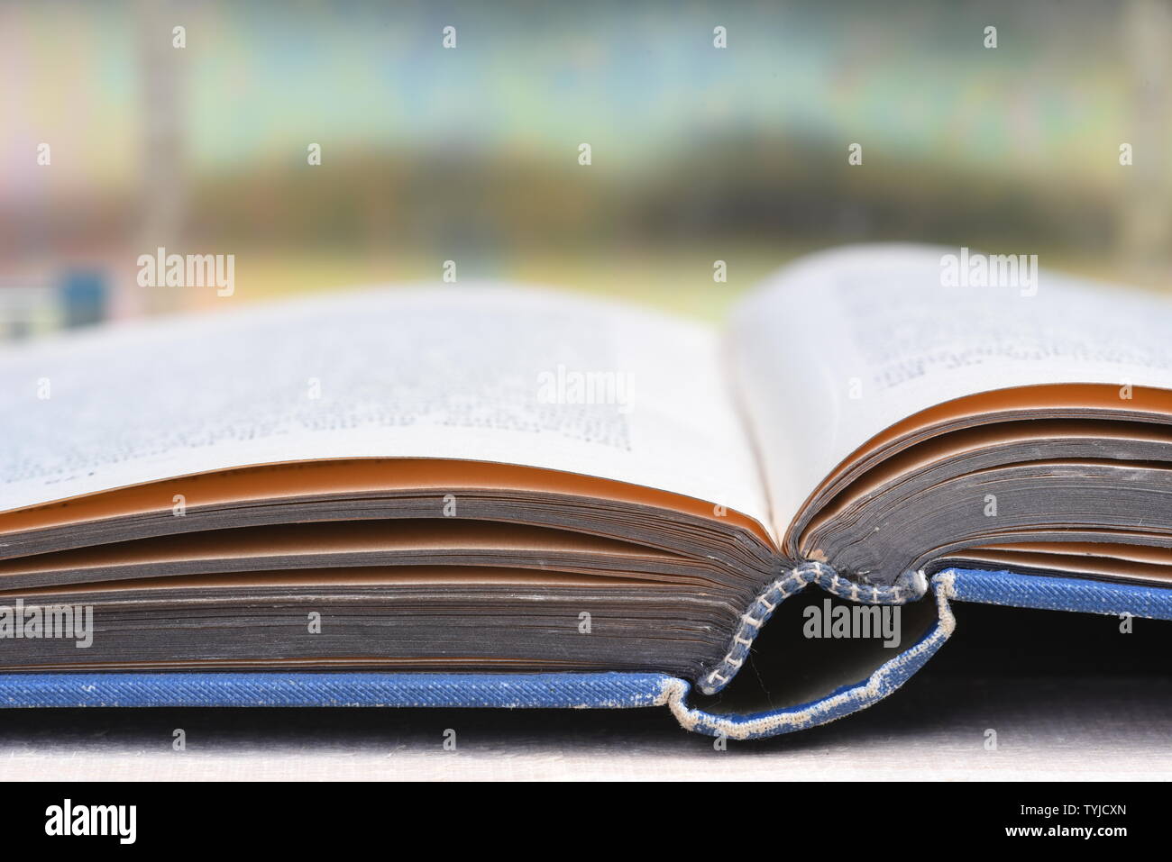 Opened book close-up with blurred background Stock Photo - Alamy
