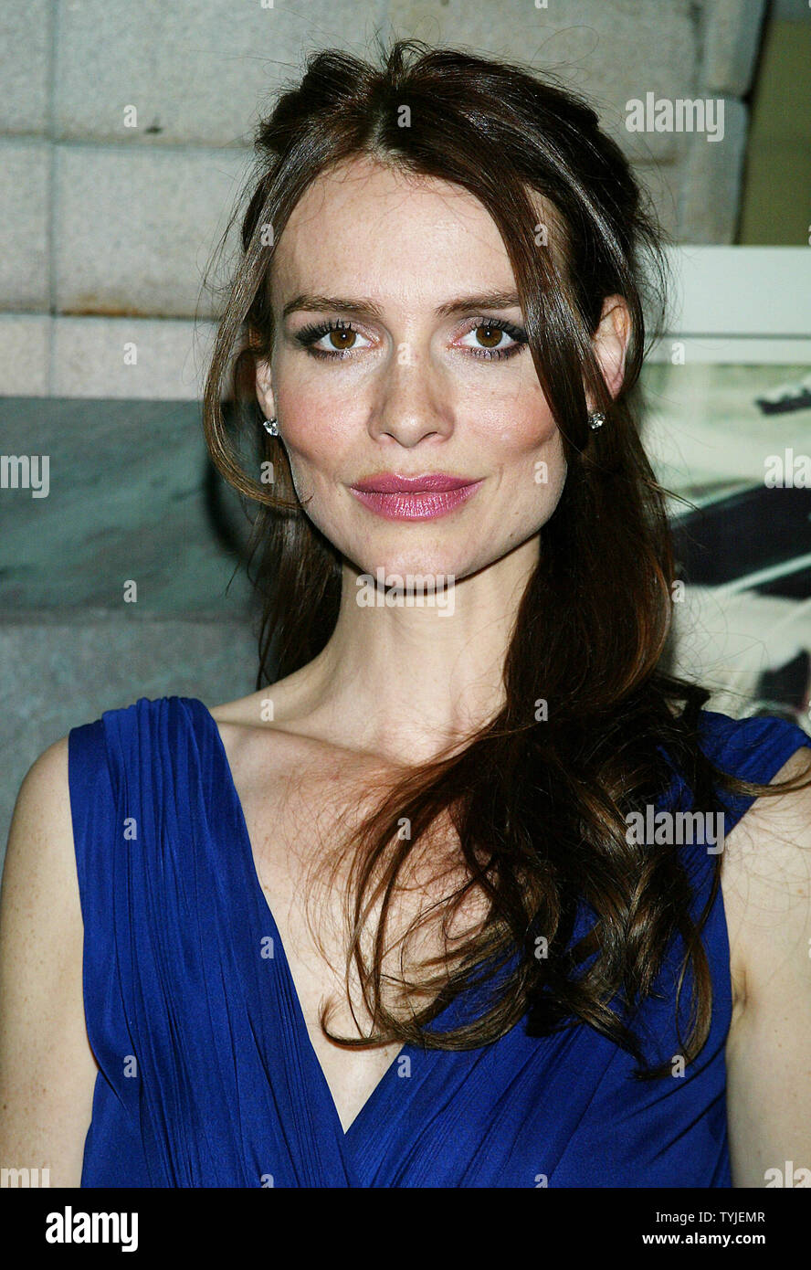 The Bank Job Saffron Burrows