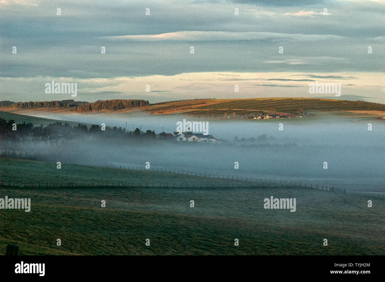 Scottish village mist hi-res stock photography and images - Alamy