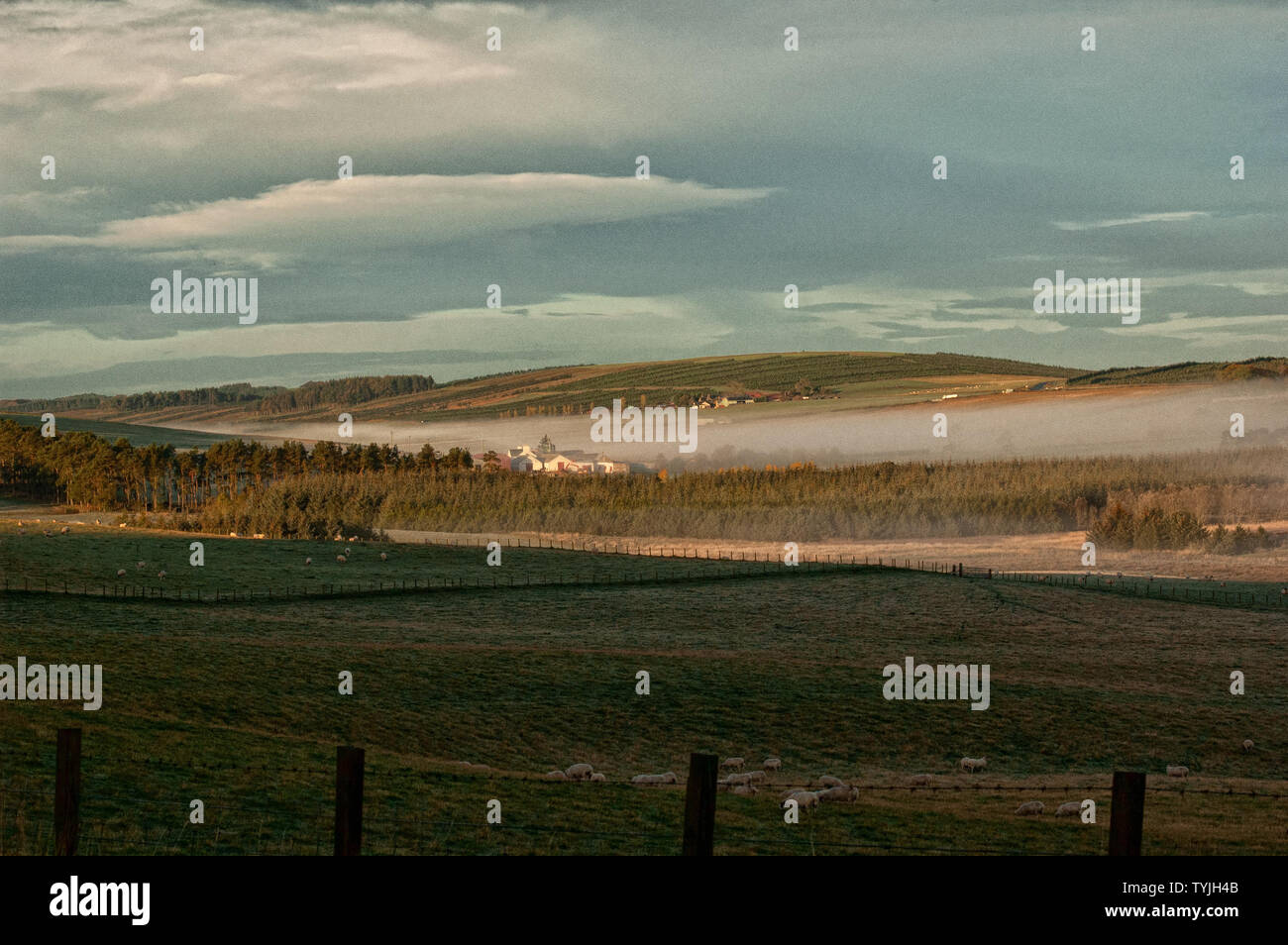 Scottish village mist hi-res stock photography and images - Alamy