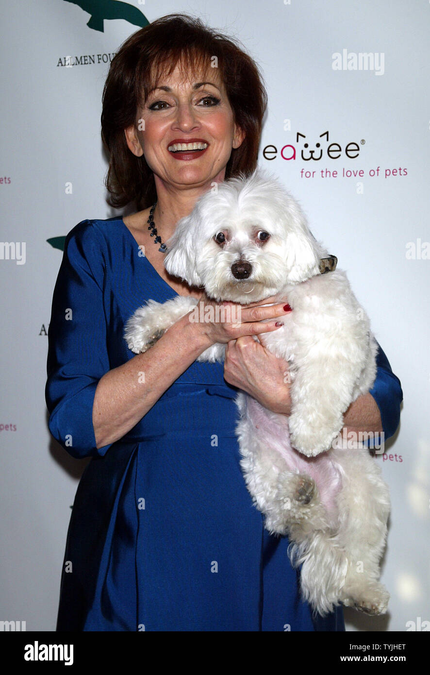 Robin strasser hi-res stock photography and images - Alamy