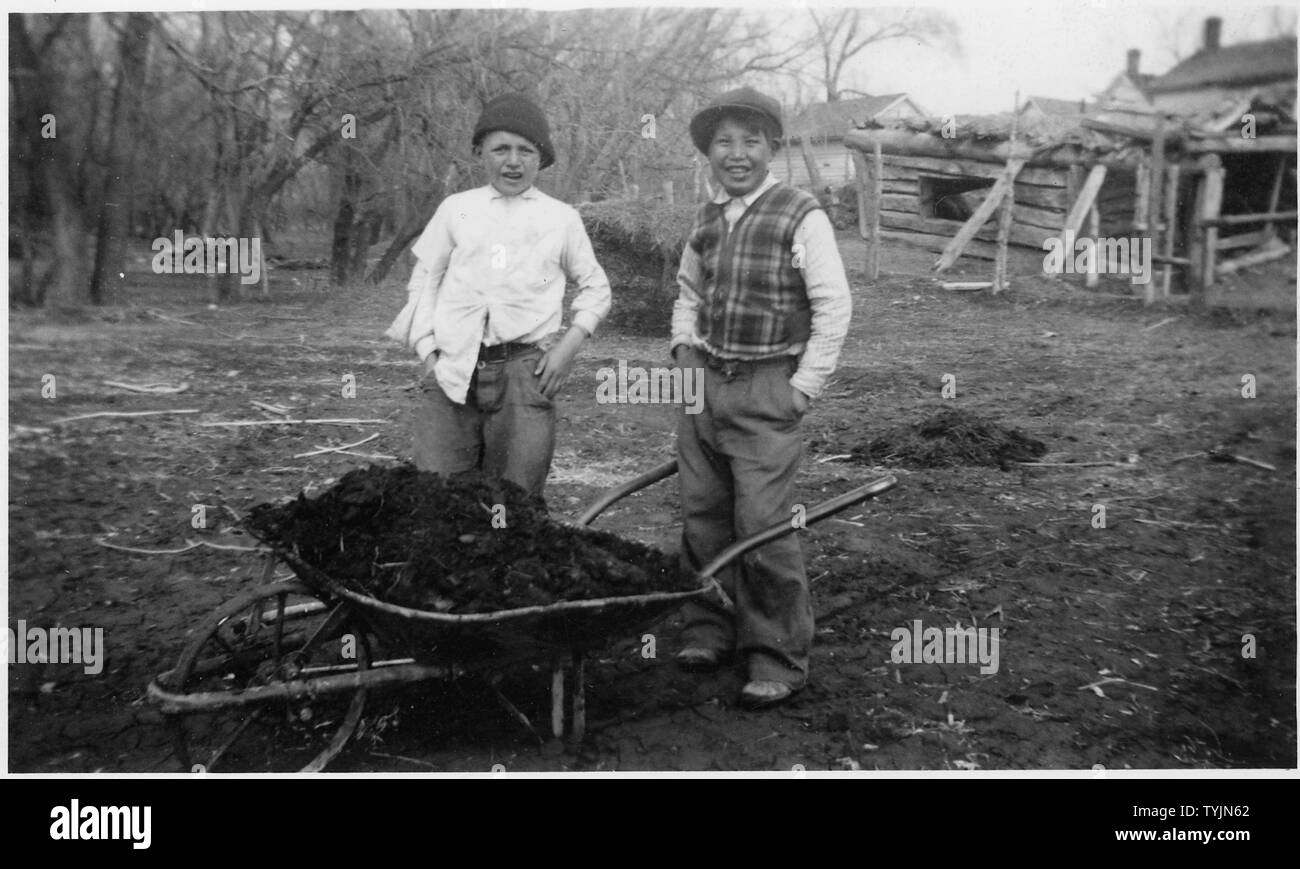 School boys with manure for their garden Stock Photo - Alamy