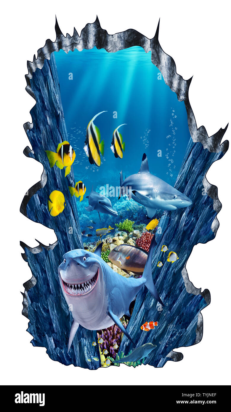 Old coral reefs Cut Out Stock Images & Pictures - Alamy