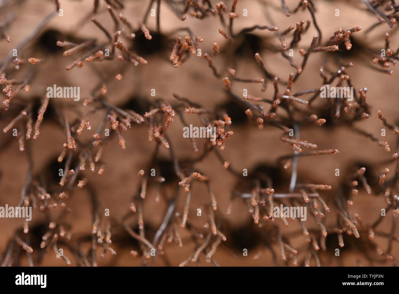 Closeup wire texture hi-res stock photography and images - Alamy