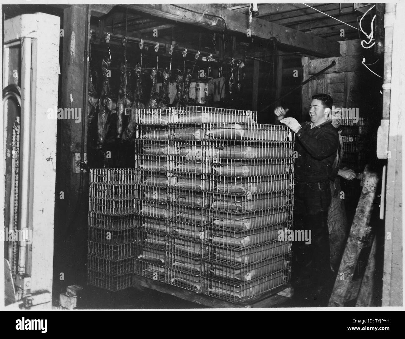 Sealburger hi-res stock photography and images - Alamy