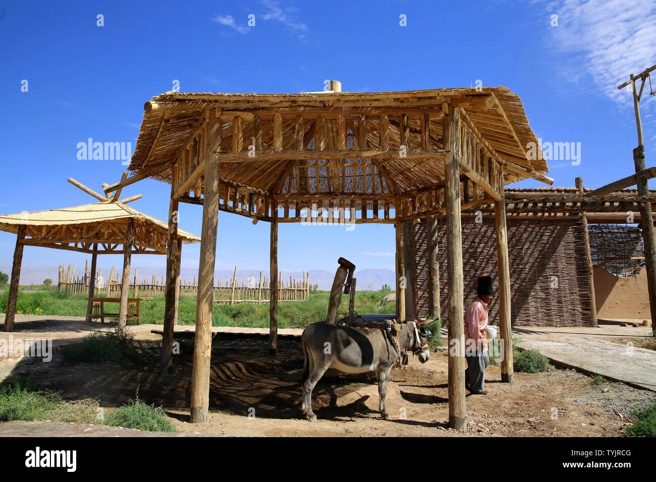 Oil extraction, ancient oil extraction technology Stock Photo - Alamy