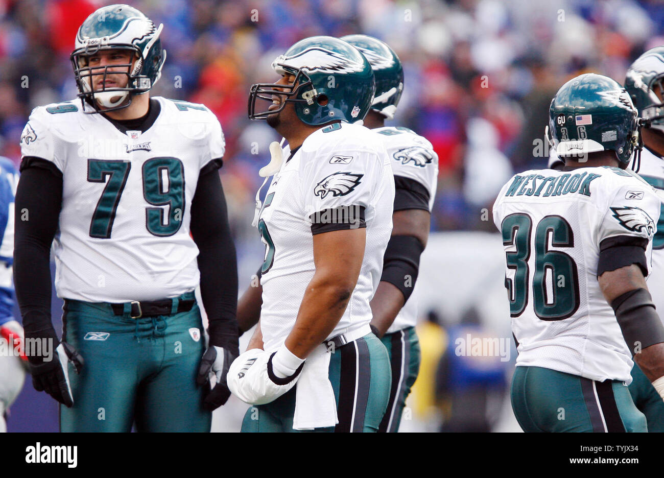 Philadelphia Eagles Donovan McNabb (5) reacts in between plays in the ...