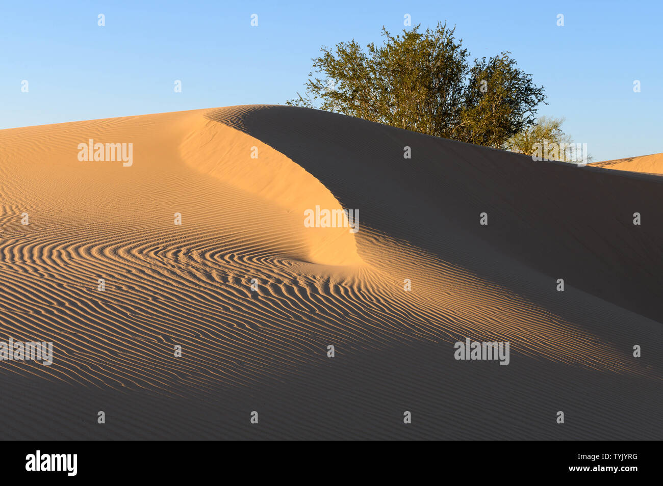 North algadones dunes wilderness hi-res stock photography and images ...