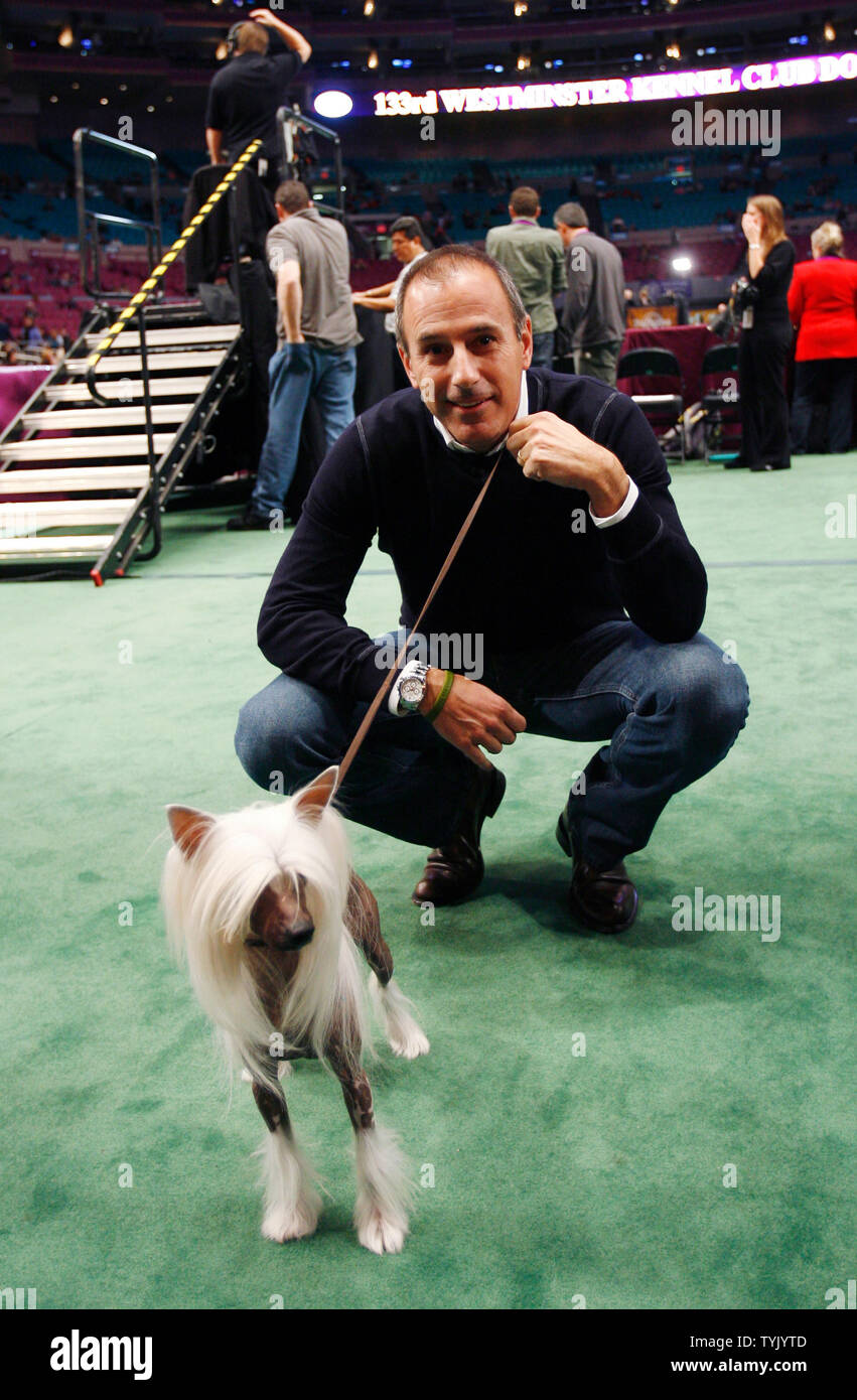 Westminster kennel club 133rd annual dog show hi-res stock photography ...