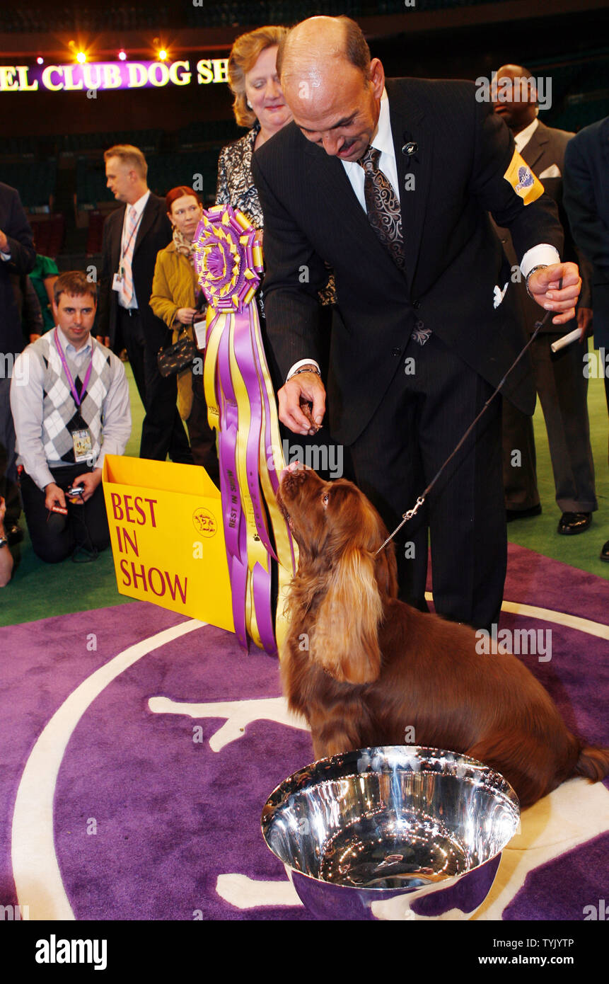 Westminster kennel club 133rd annual dog show hi-res stock photography ...