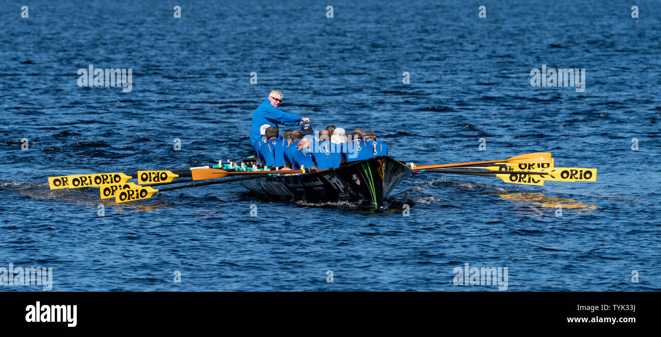 Dores, Loch Ness, Highlands, UK. 26th June, 2019. UK. This is the World ...