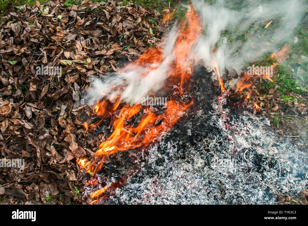 Flame-burning pile of dry autumn leaves and their ashes Stock Photo - Alamy