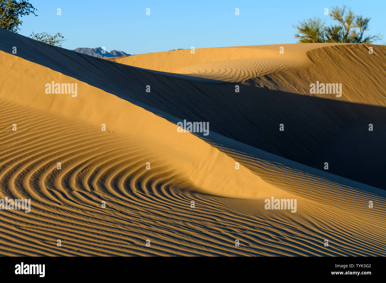 North algadones dunes wilderness hi-res stock photography and images ...