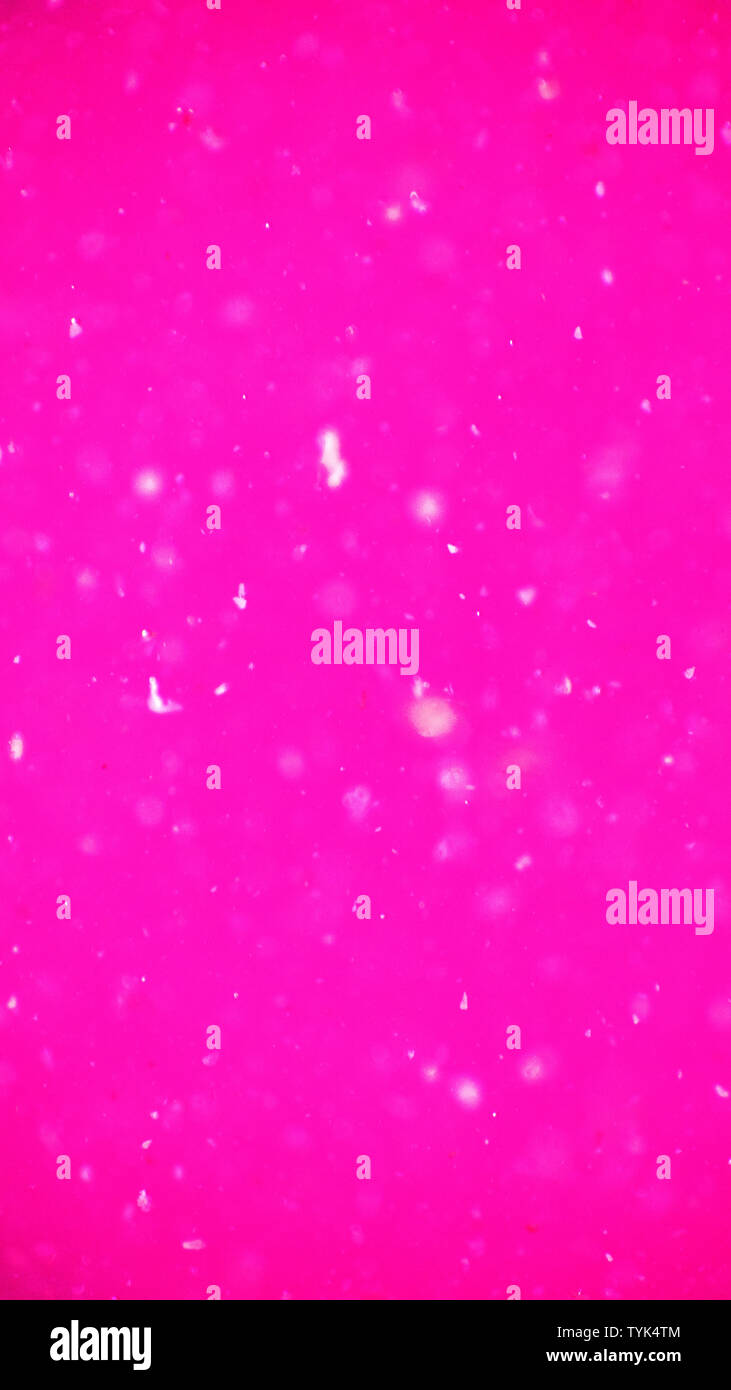 Bio ultra macro background. Organic vegetable background with a big ...