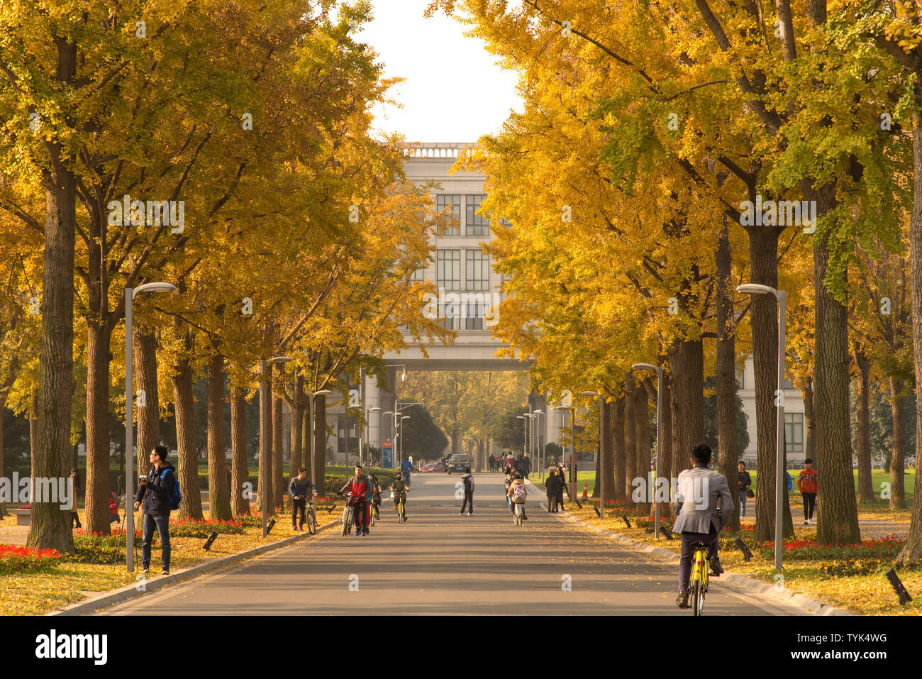 Chengdu university of electronic science and technology hi-res stock ...