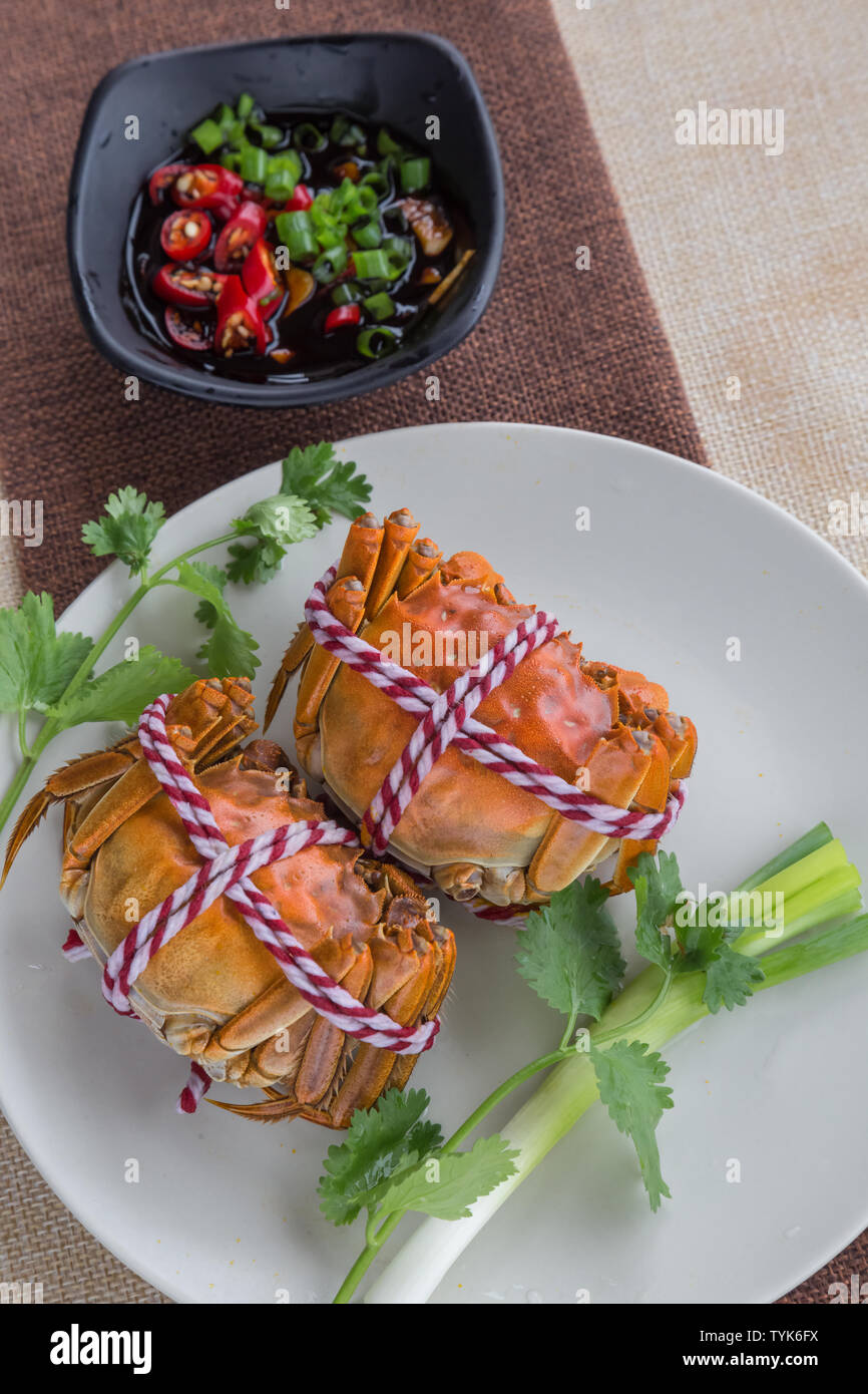 Hairy stone crab hi-res stock photography and images - Alamy