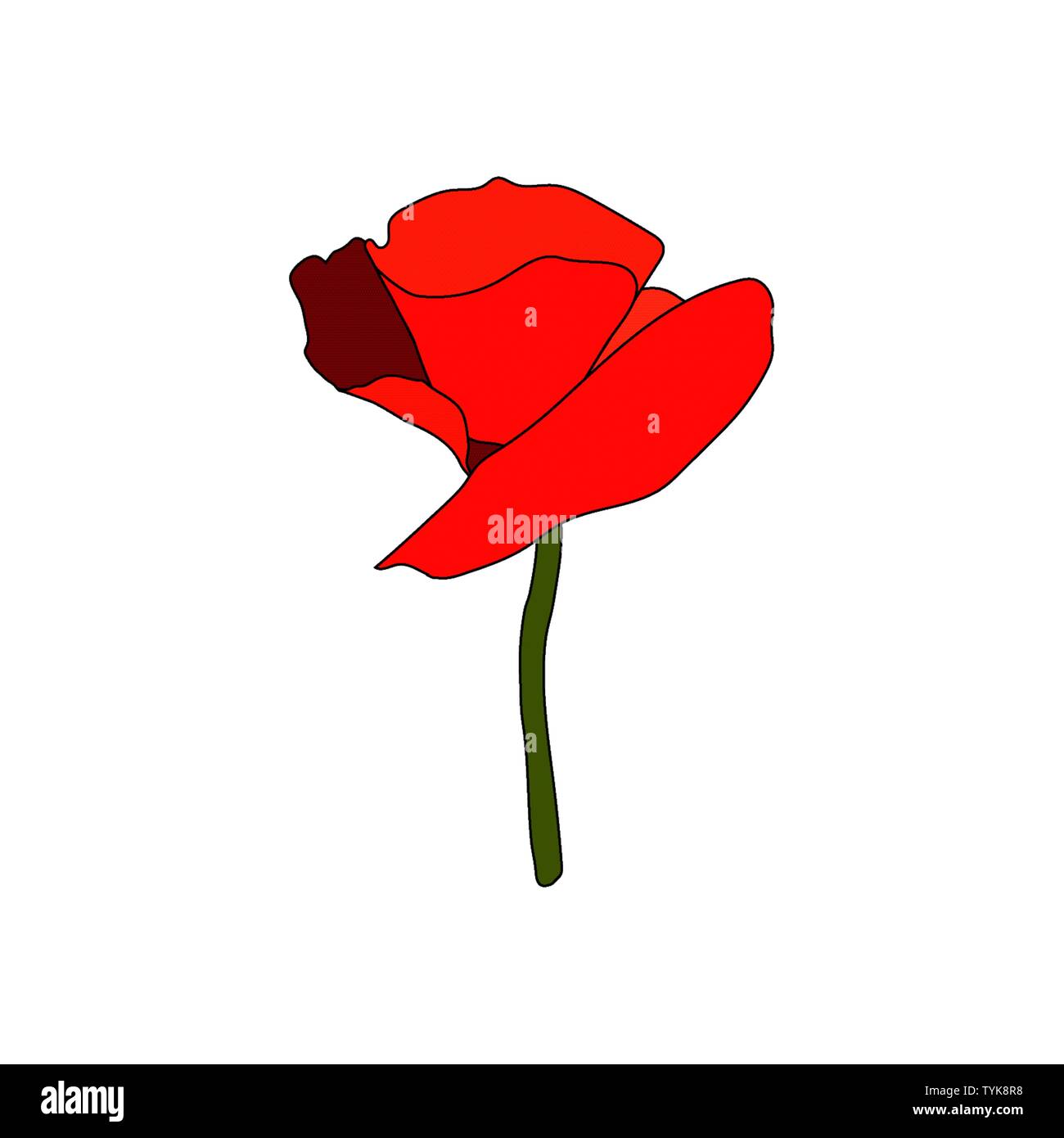 Red Poppy full-blown flower and stem. Side view. Flat sketch style ...