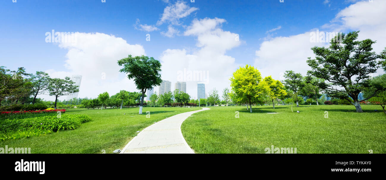 Green footpath in meadow hi-res stock photography and images - Alamy
