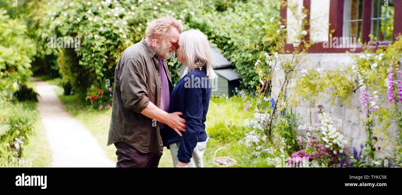 HAMPSTEAD, from left: Brendan Gleeson, Diane Keaton, 2017. © IFC Films ...