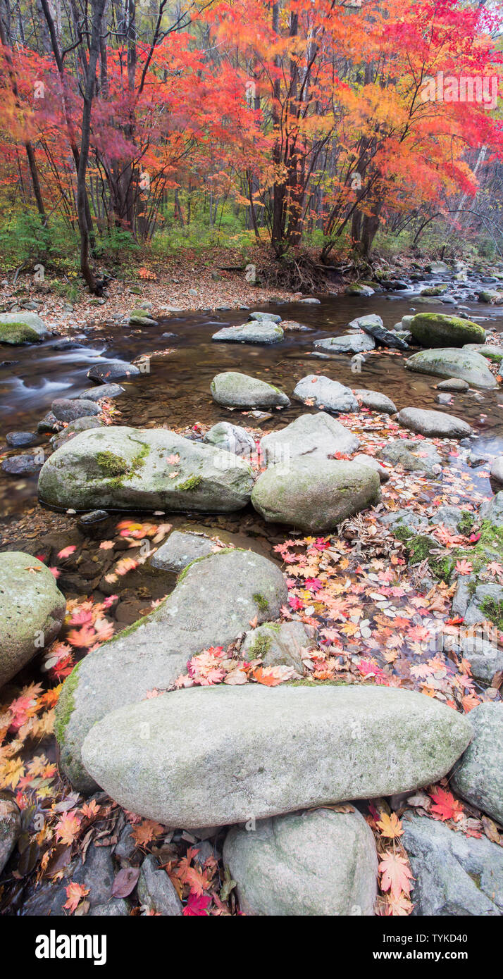 Old border ditch scenery Stock Photo - Alamy
