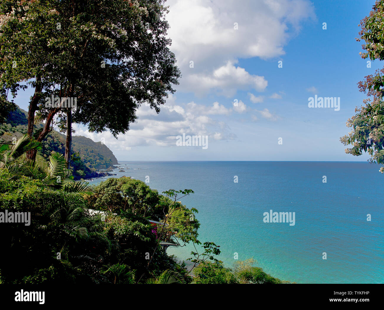 Tobagos caribbean coast hi-res stock photography and images - Alamy