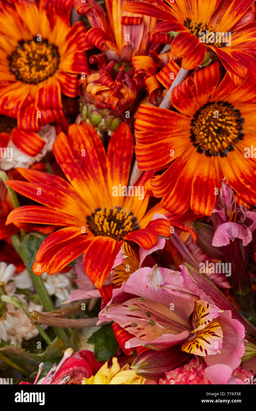 Corpus Christy religious festival in funchal, June 2019, with flowers ...