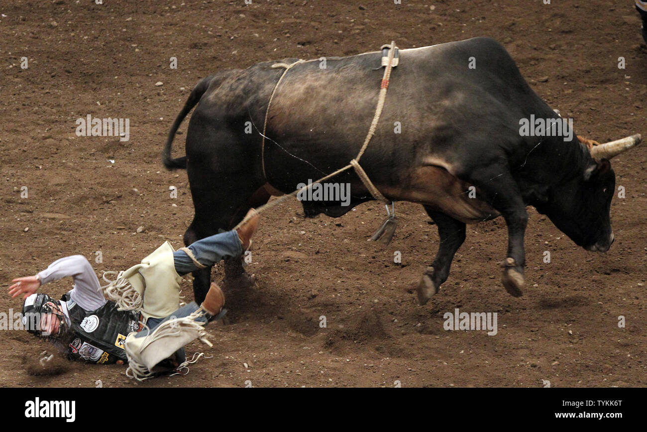 McKennon Wimberly gets thrown off of a bull during his ride at the ...