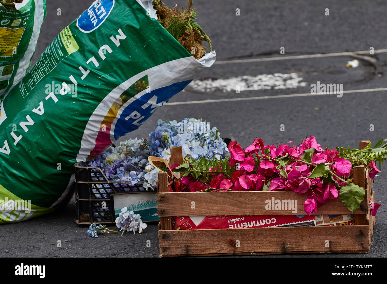 Corpus Christy religious festival in funchal, June 2019, with flowers ...