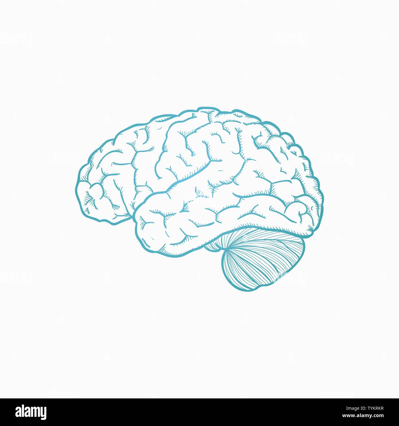 Digital human brain vector logo hi-res stock photography and images - Alamy