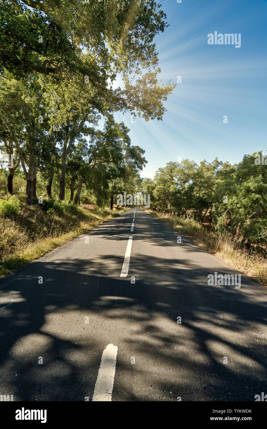 Tar road hi-res stock photography and images - Alamy