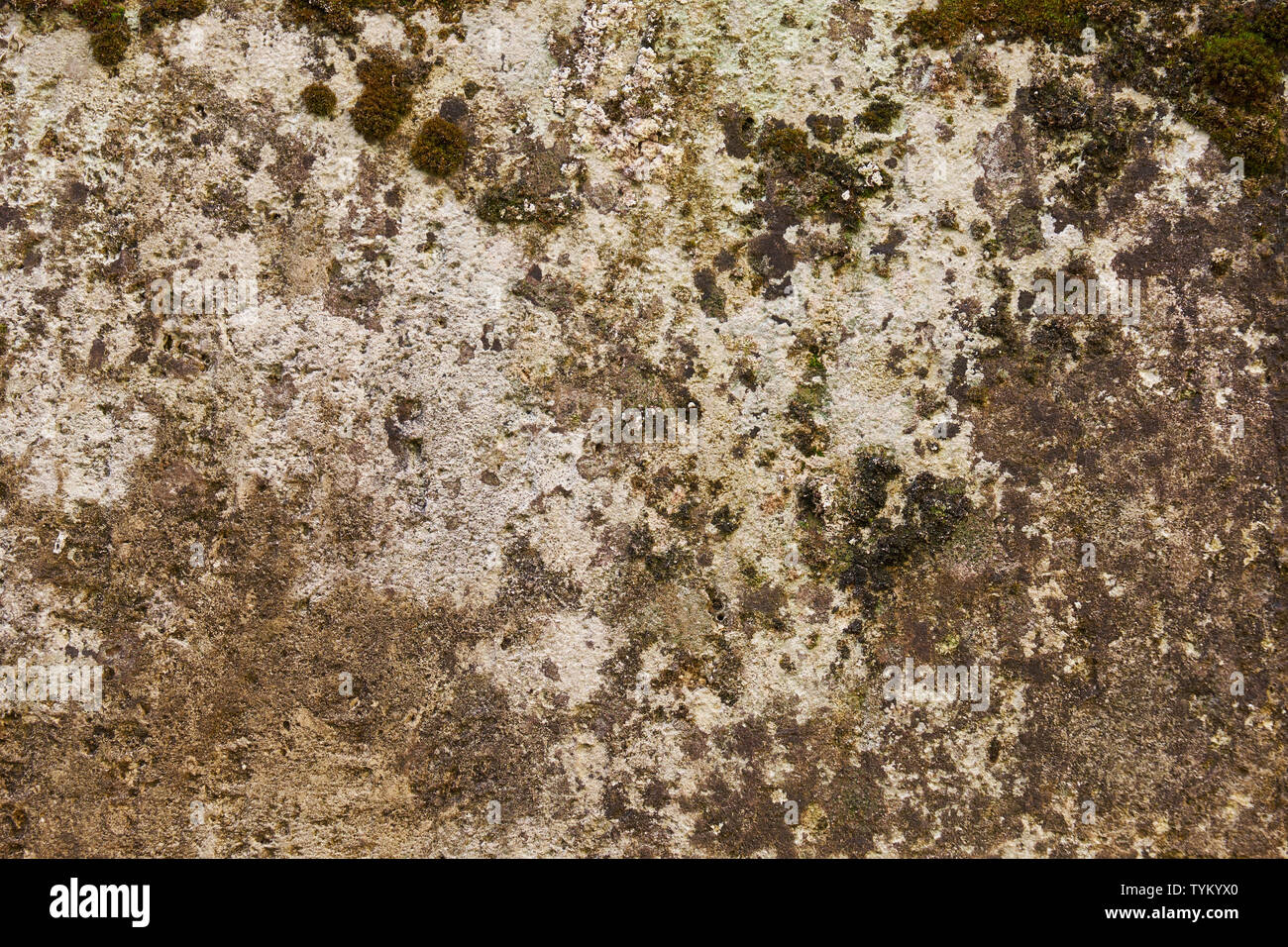 Stained and mossed limestone wall background Stock Photo - Alamy
