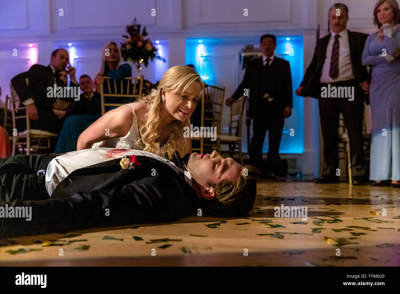 PICTURE PERFECT MYSTERIES: NEWLYWED AND DEAD, Lindsay Maxwell (leaning ...