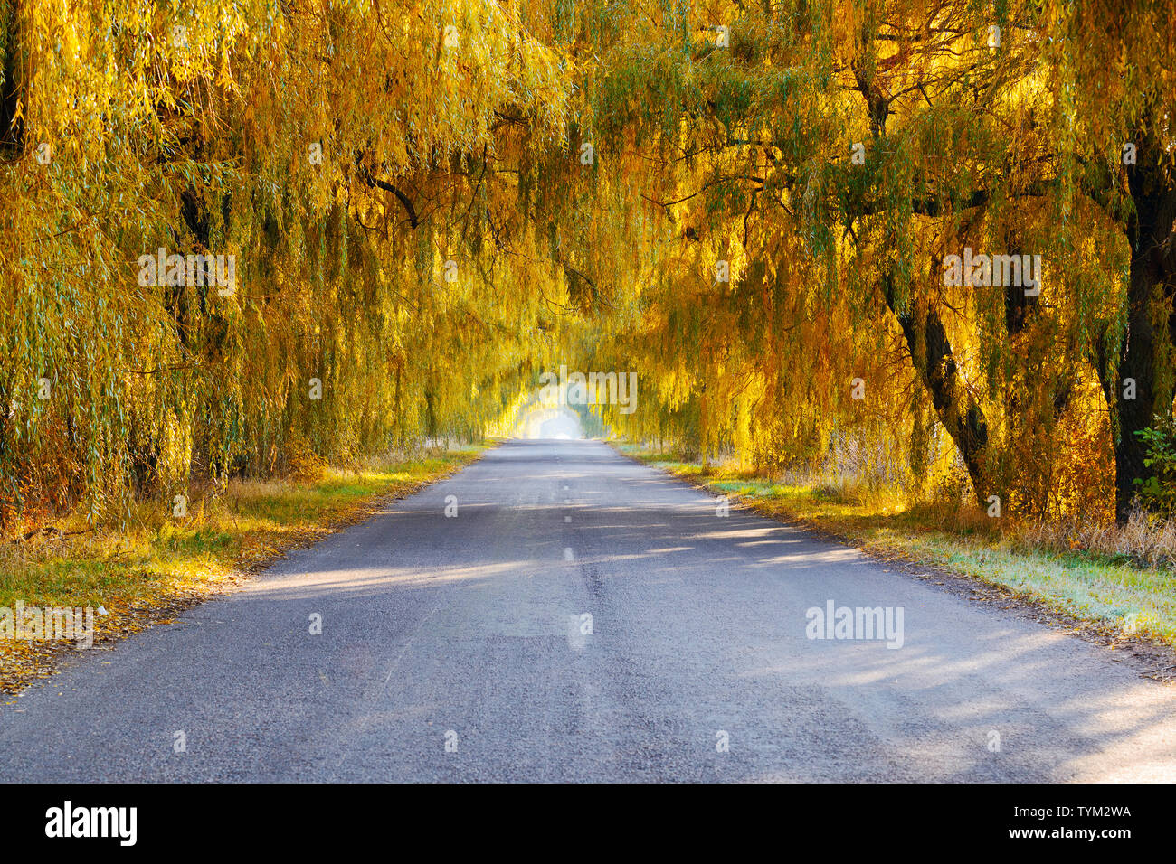 Arch shape hi-res stock photography and images - Alamy
