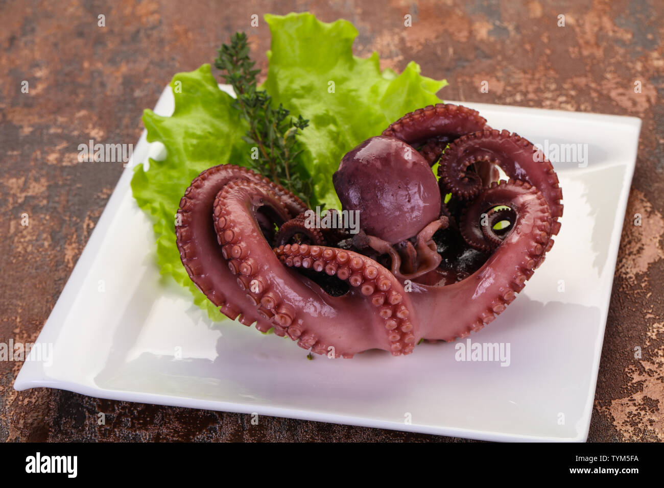 Boiled octopus with herbs in the plate Stock Photo - Alamy