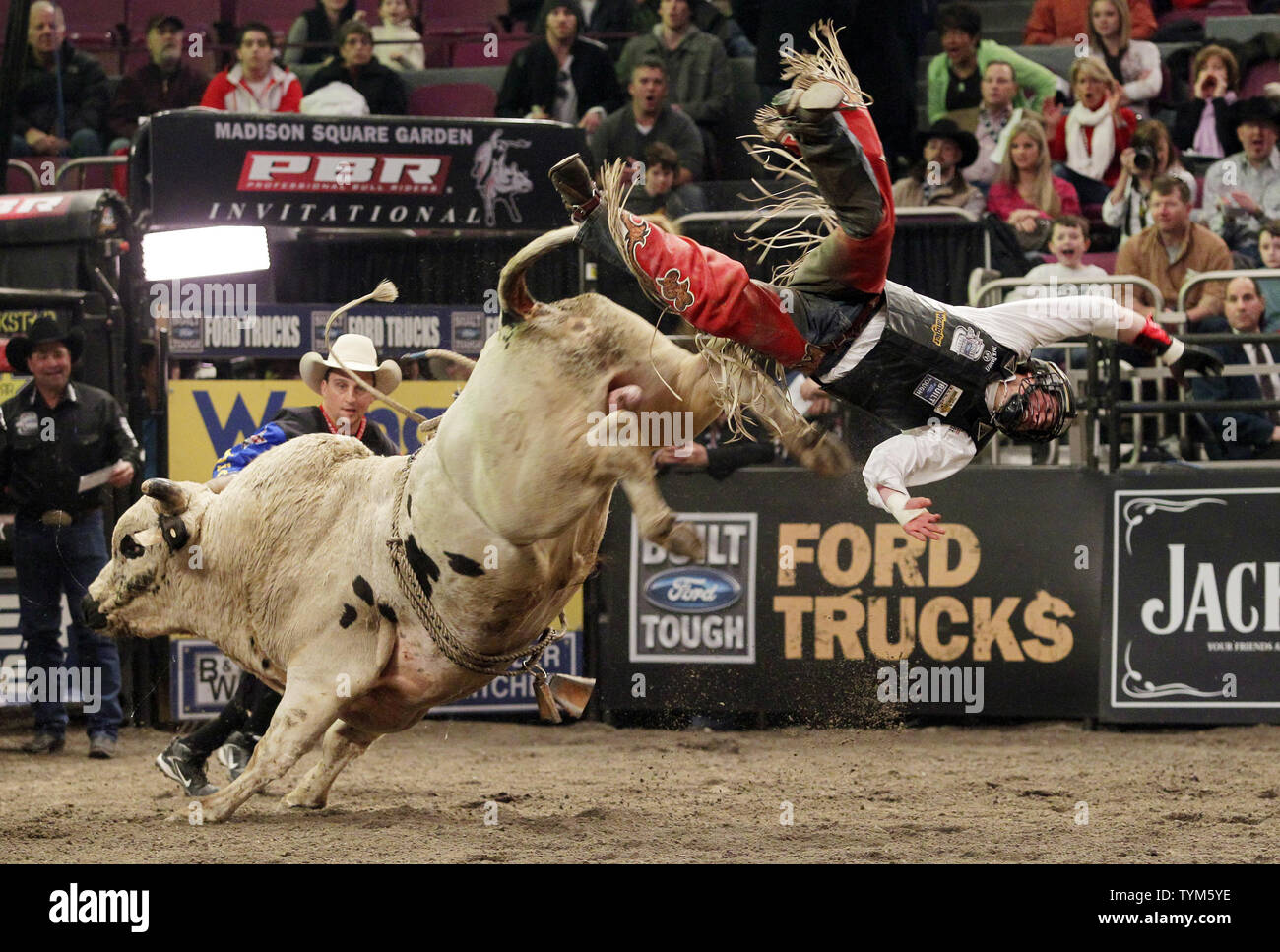 Profesional bull riders madison square garden hi-res stock photography ...