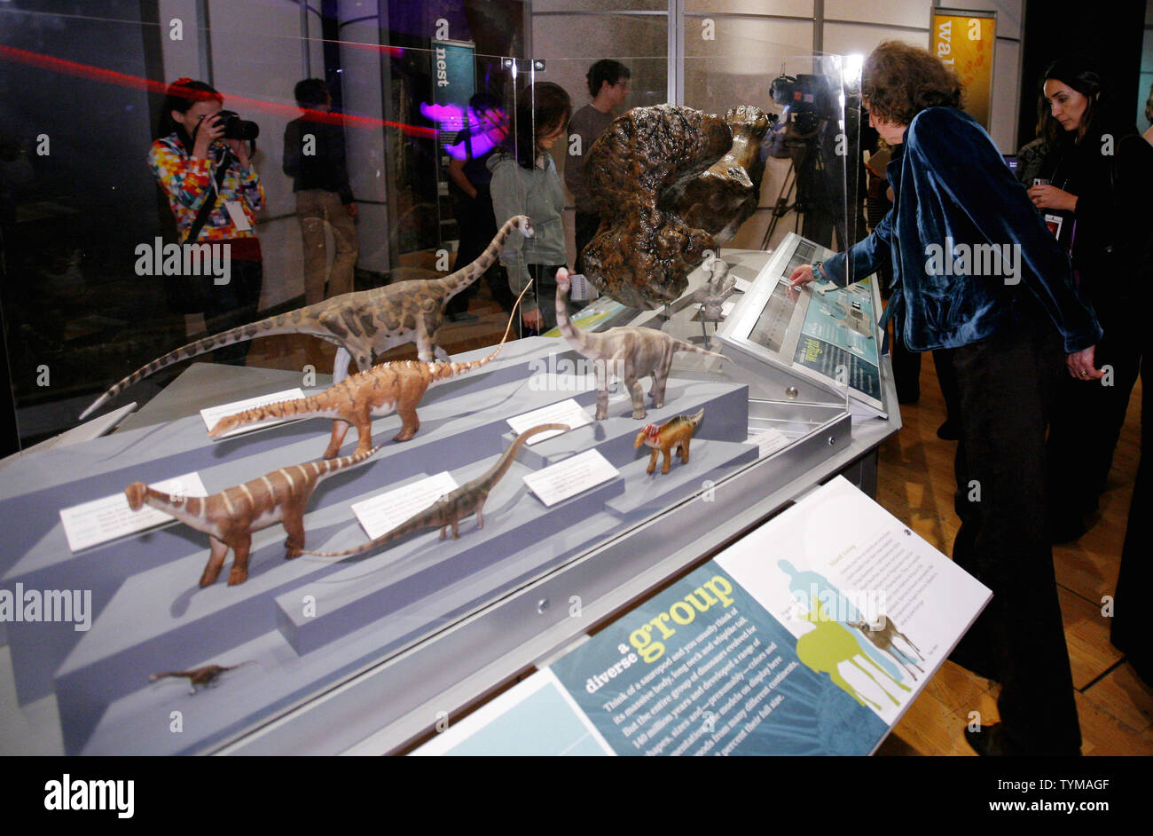 A display shows the various sizes of dinosaurs at "The World's Largest ...