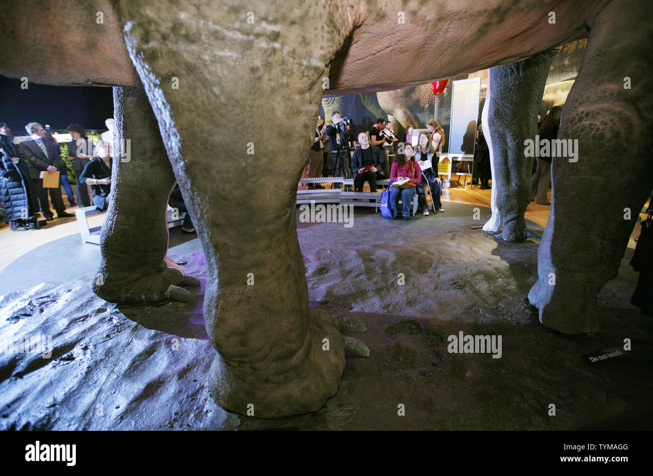 People are seen beyond the massive legs of the life-sized model of a 60 ...