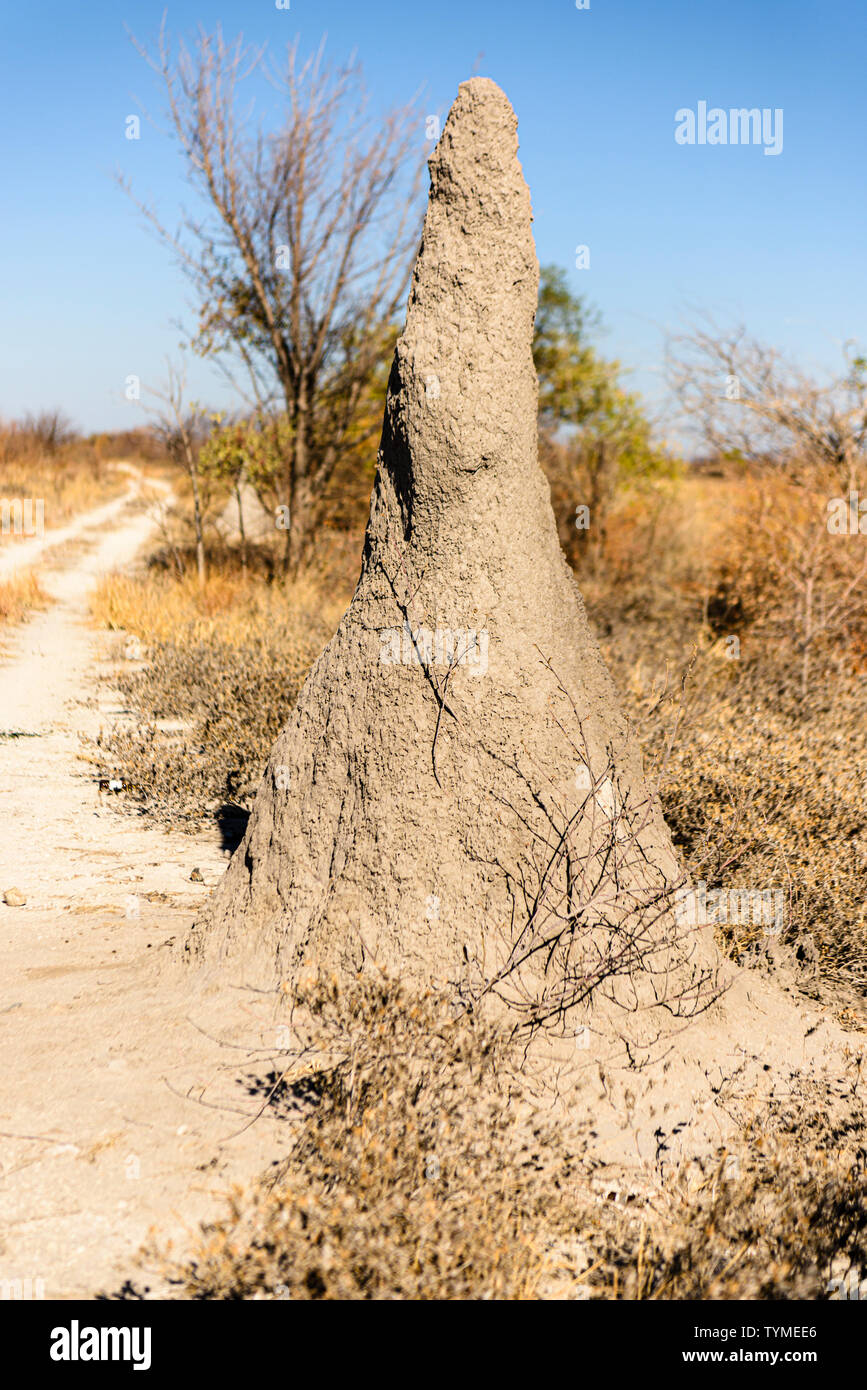 Termite tower hi-res stock photography and images - Alamy