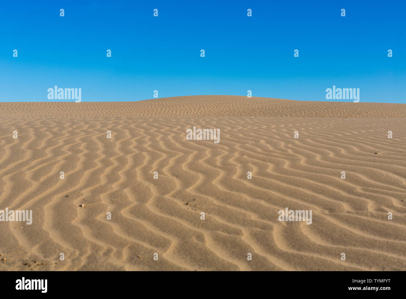 Wind swept patterns in the sand Stock Photo - Alamy