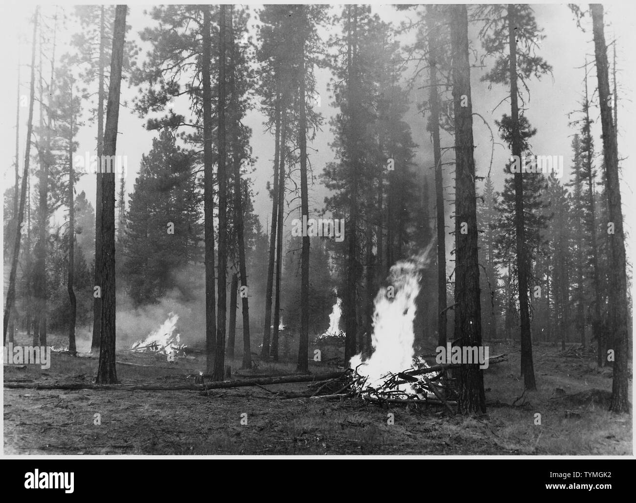 Needle fire Black and White Stock Photos & Images - Alamy