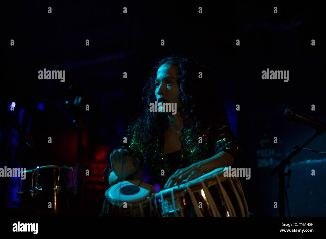 Tabla artist Suphala Stock Photo - Alamy