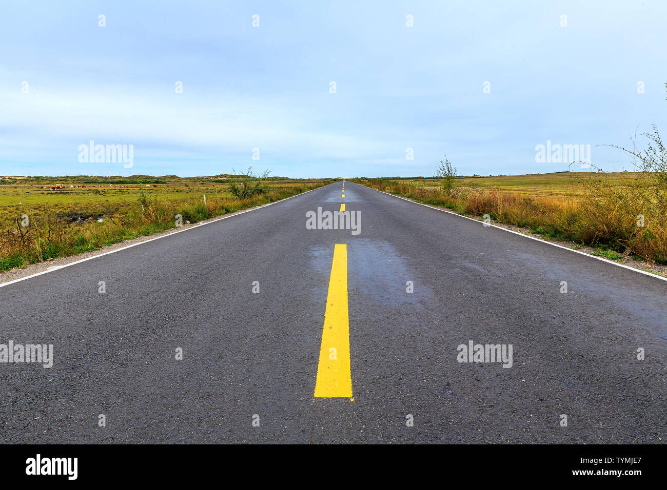 The magnolia paddock on the paddock dam hi-res stock photography and ...